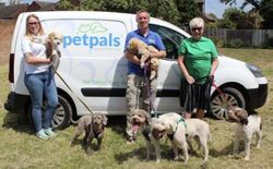 Petpals - Pet sitting, dog walking, dog sitting, dog boarding, pet boarding, cat sitting and pet ...