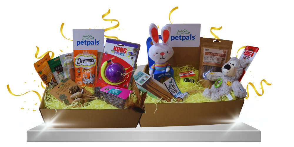 Giveaway | WIN pet prizes!