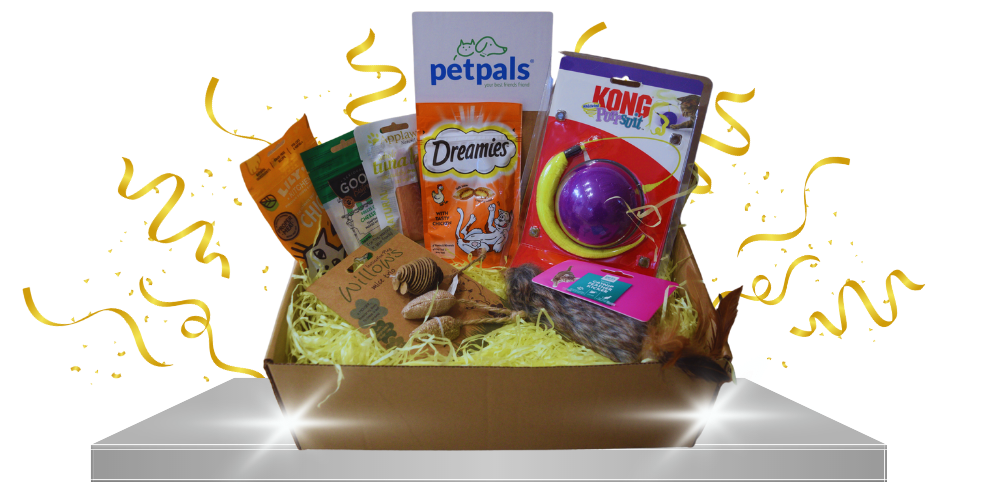 Giveaway | WIN pet prizes!