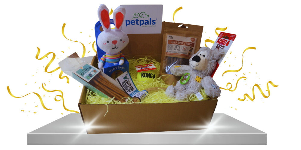 Giveaway | WIN pet prizes!
