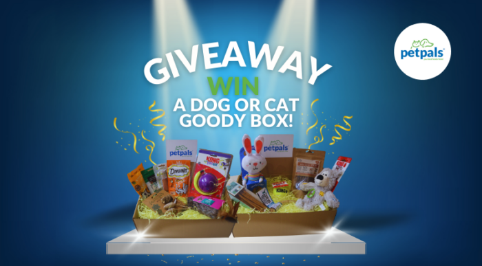 Giveaway | WIN pet prizes!
